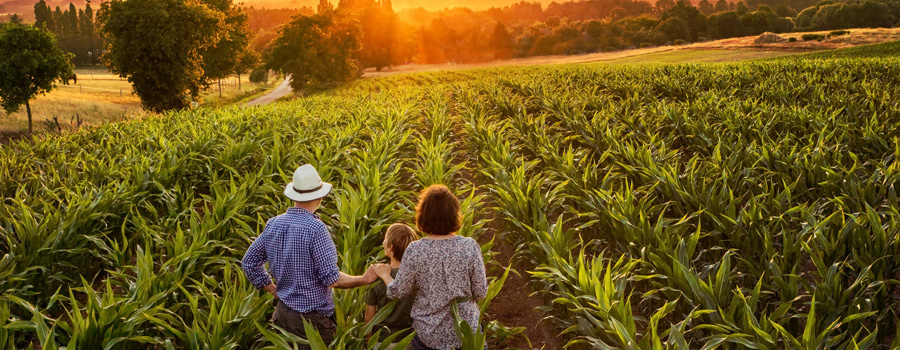 Beginning Farmer Training & Education Programs – Farm Management
