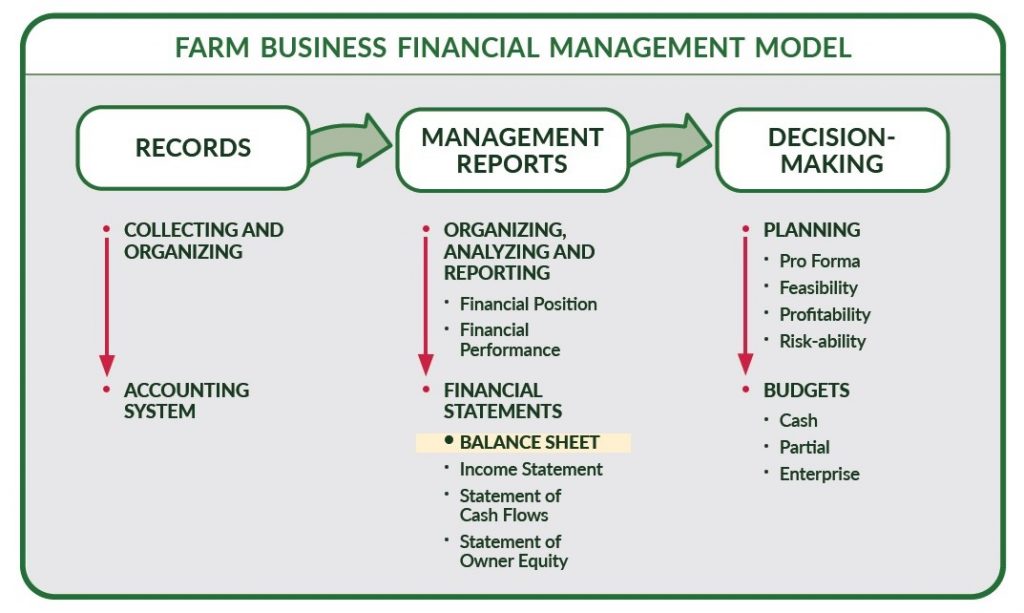 Preparing A Balance Sheet Farm Management
