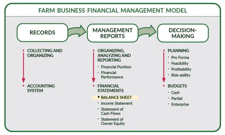 Balance Sheet Structure Details – Farm Management
