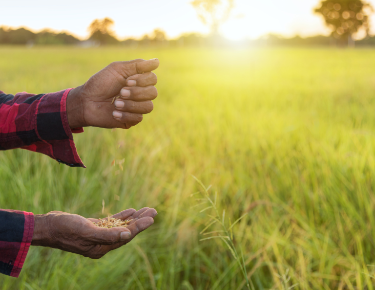 Agricultural conservation easements 101: Permanently protect your ...