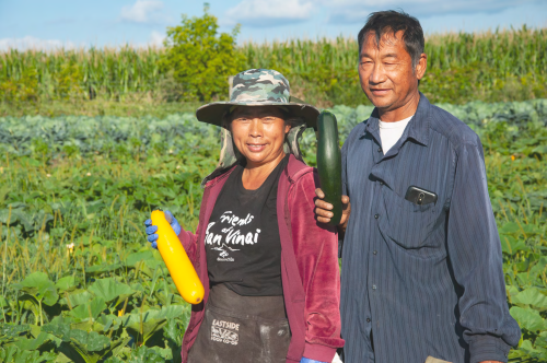 Buy-Protect-Sell: Bridging gaps to incoming farmers – Farm Management