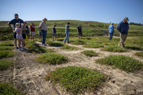 Community is important for emotional well-being – Farm Management