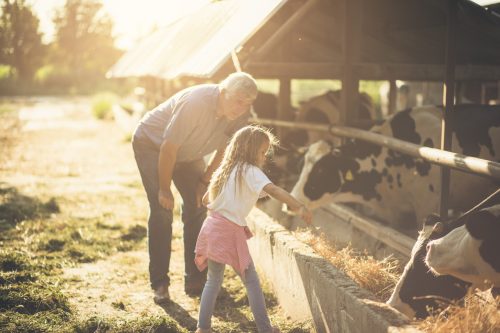 Balancing family and business goals is the key to farm succession ...