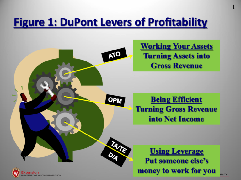 DuPont System for Financial Analysis – Farm Management