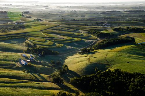 Managing forage production risk with Whole Farm Revenue Protection ...