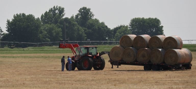 Custom Rates for Farm Services and Equipment Rental – Farm Management