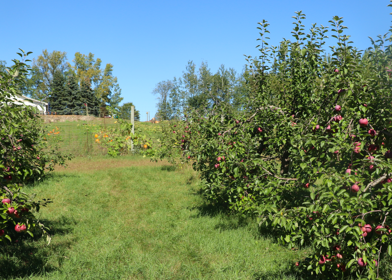 Universal design examples for agritourism events – Farm Management