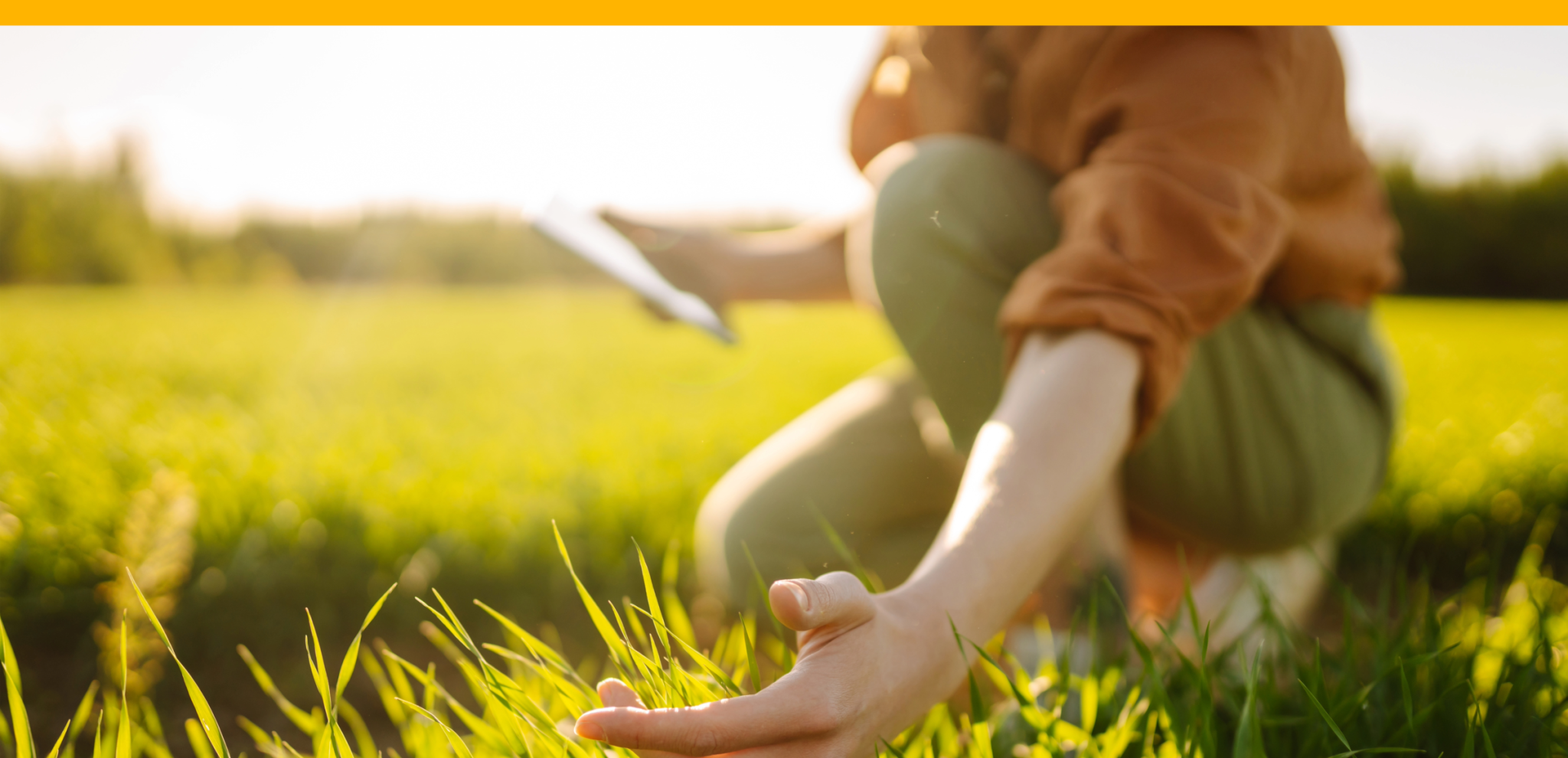 Values, Vision, and Intentions for Farm Succession – Farm Management