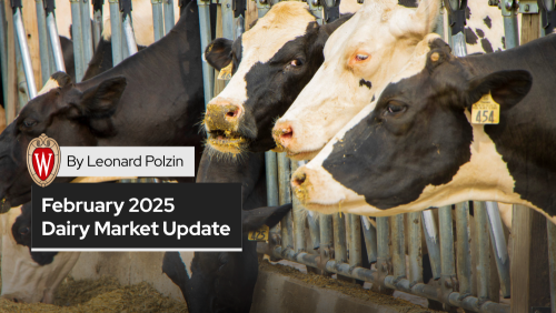 February 2025 Dairy Market Update: US Dairy Industry Overview – Farm ...