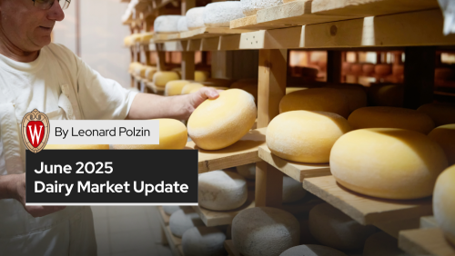 Dairy Market Dynamics and Domestic Constraints: A Dairy Sector ...